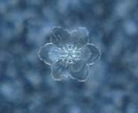 What Makes a Snowflake | The Squire