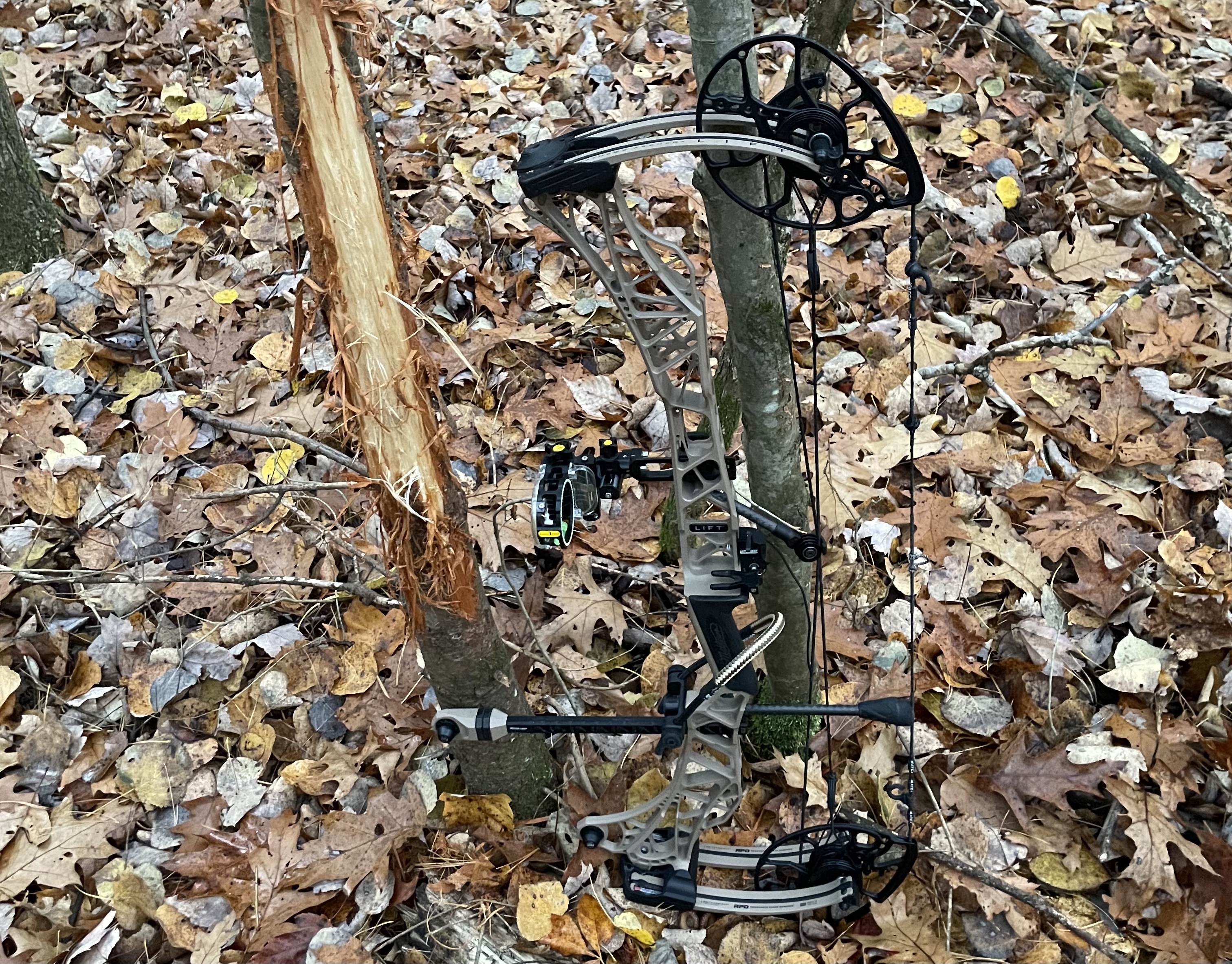 Archery Season in Full Swing | The Squire